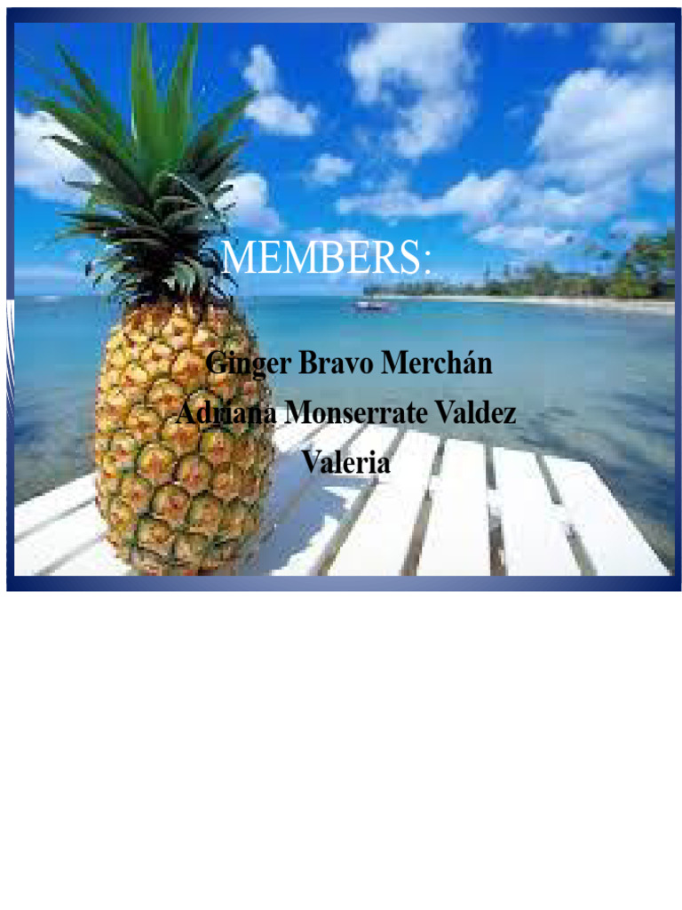 Ecuador Pineapple Export Overview | PDF | Pineapple