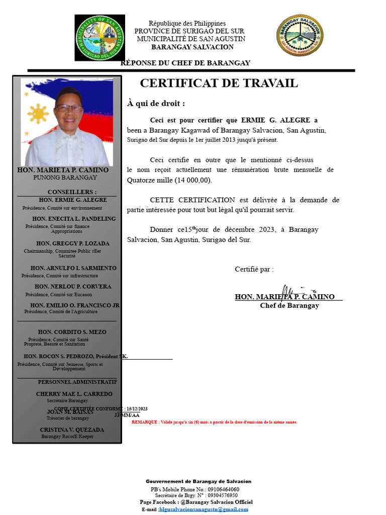 Certificat de travail d'Ermie G. Alegre | PDF