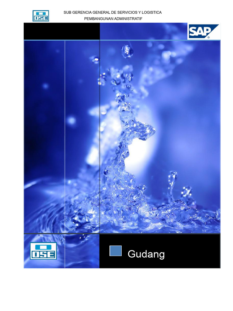 Manual Operasional Gudang SAP | PDF