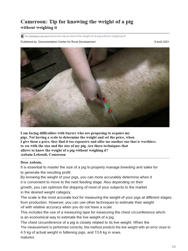 Estimate Pig Weight Using Chest Measurement | PDF | Measurement | Pig