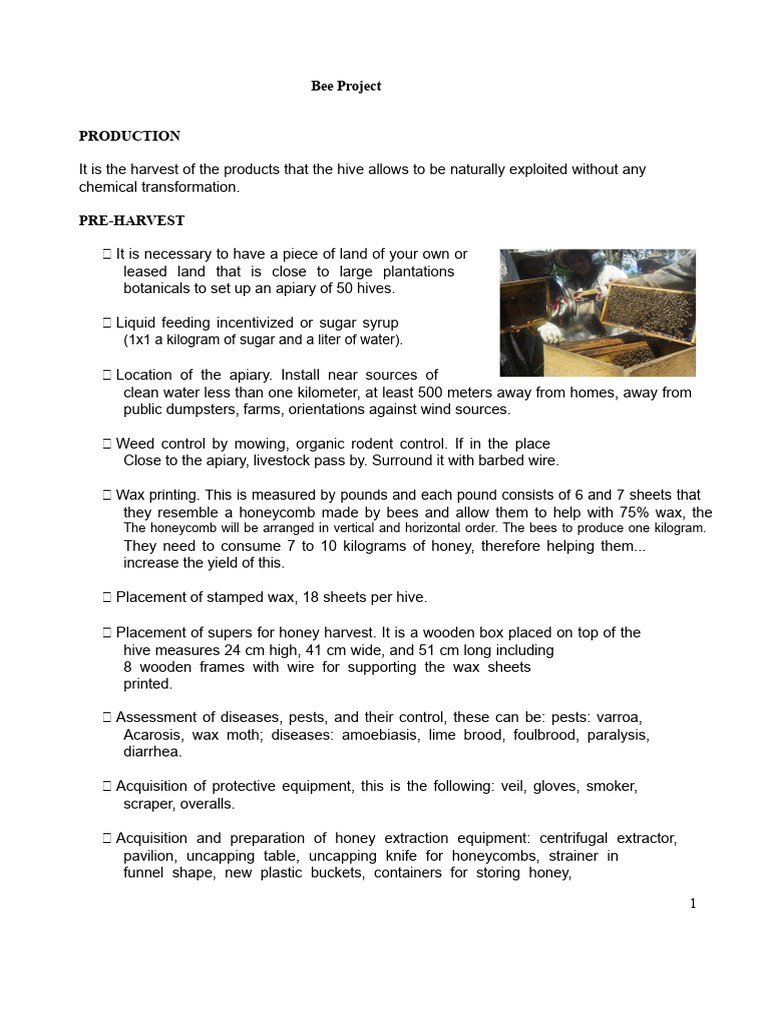 Beekeeping Project Document | PDF | Beehive | Beekeeping