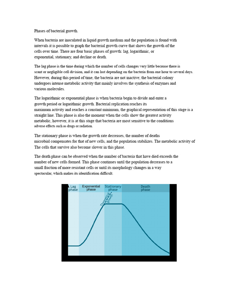 Phases of Bacterial Growth | PDF | Bacteria | Life Sciences