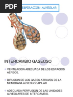 Signo de Homans: Diagnóstico y Relevancia | PDF | Anatomía del miembro ...