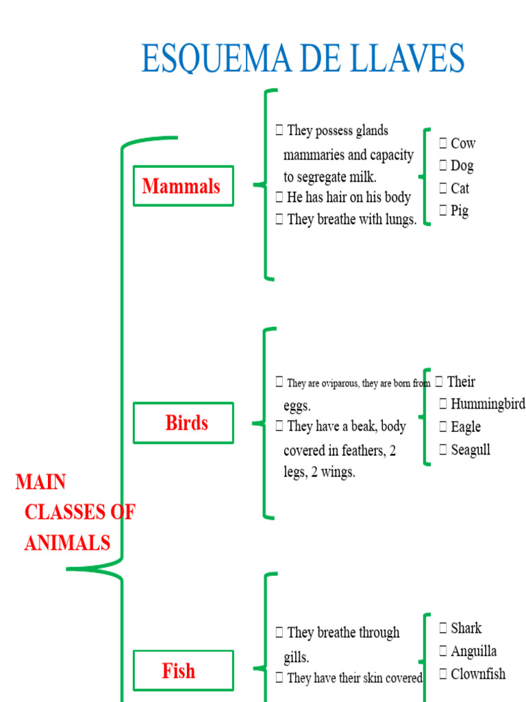 key scheme | PDF