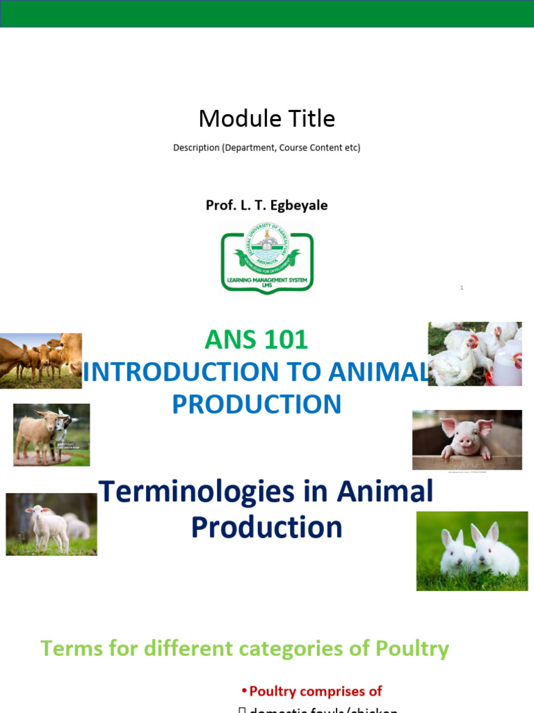 Animal Production Terminology Guide | PDF | Chicken | Poultry