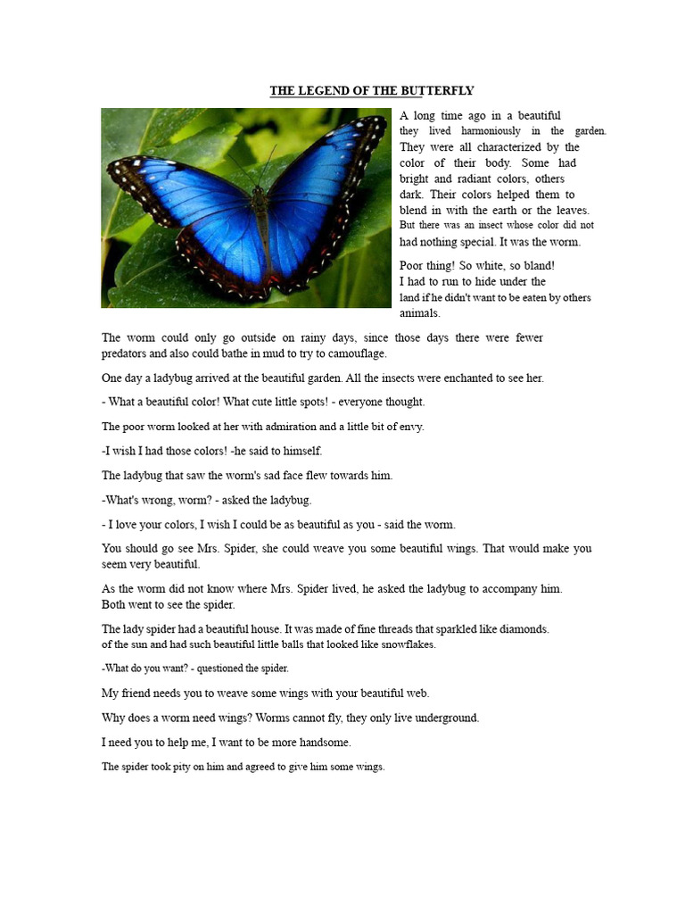 The Transformation of the Worm to Butterfly | PDF | Spider