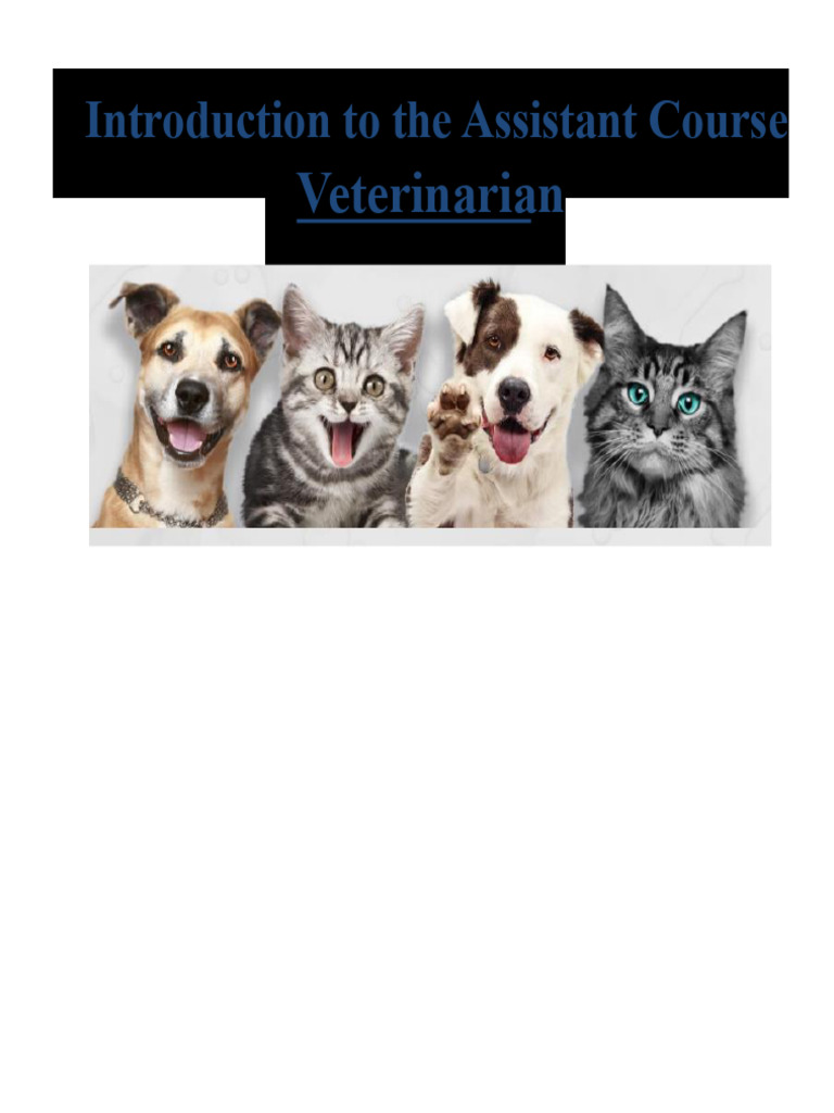 Class 01 Introduction To The Veterinary Assistant Course | PDF ...