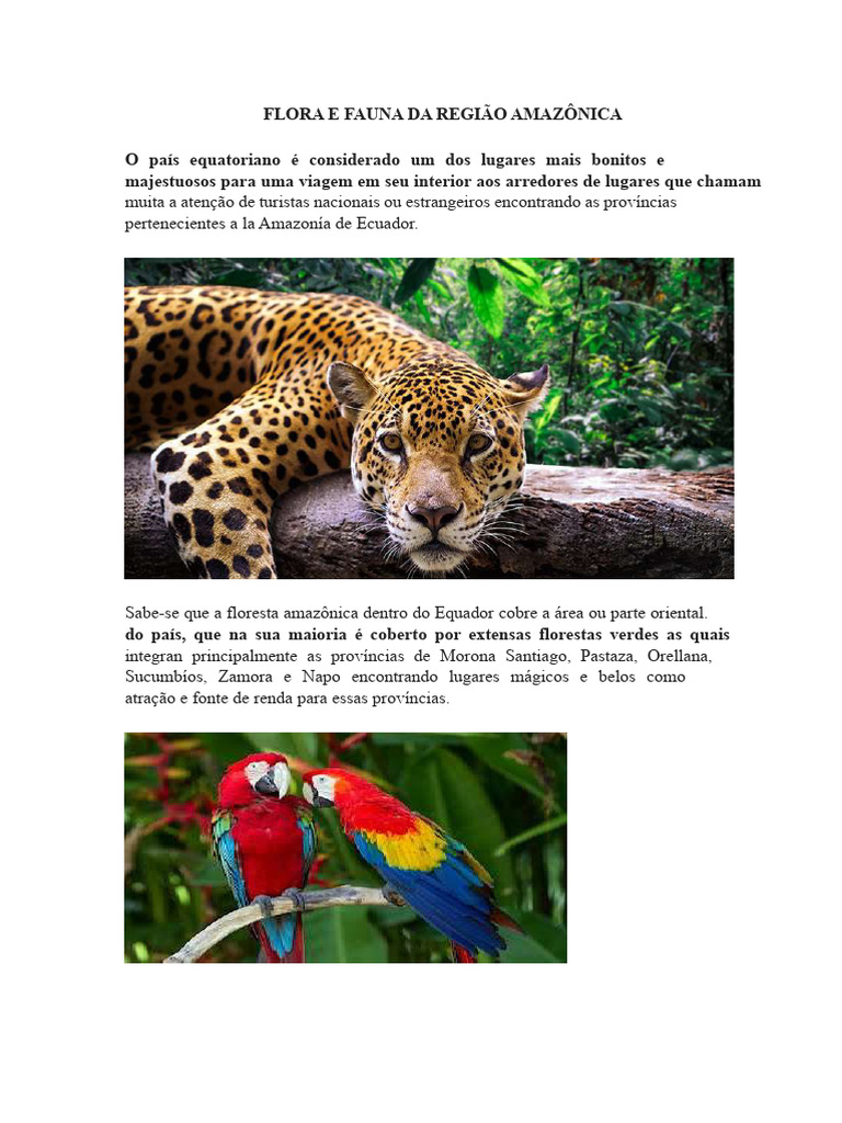Flora e Fauna da Amazônia Equatoriana | PDF | Floresta Amazônica | Equador