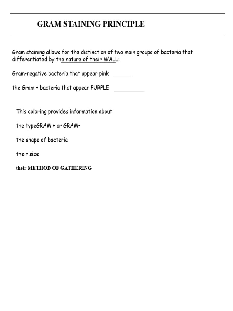 Gram Principle | PDF
