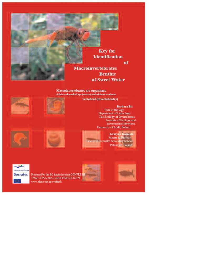 Macroinvertebrate Identification Guide | PDF | Invertebrate | Zoology