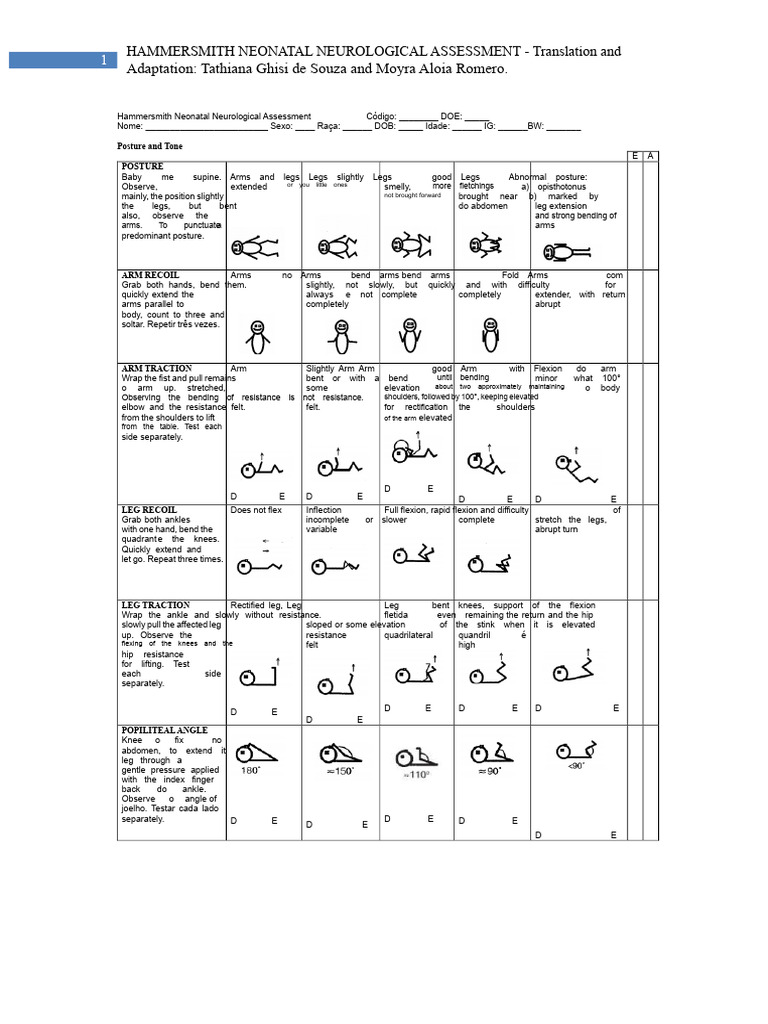 Hammersmith Neonatal Assessment Guide | PDF | Anatomical Terms Of ...