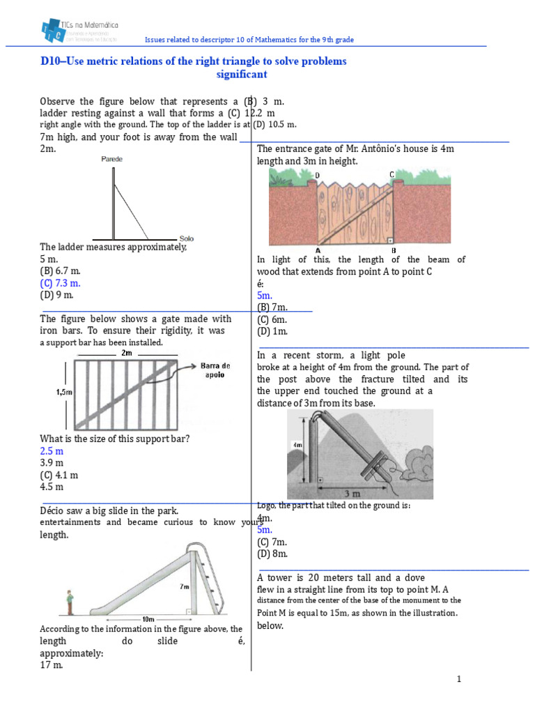 Descriptor 10 - Mathematics 9th Grade | PDF | Rectangle | Geometry