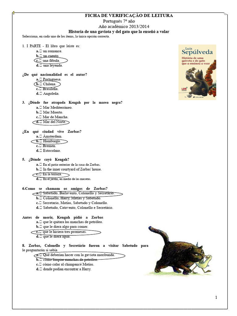 Verificación de Lectura: Gaviota y Gato | PDF