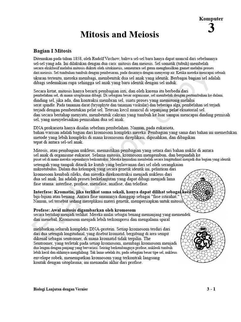 Proses Mitosis dan Meiosis pada Sel | PDF