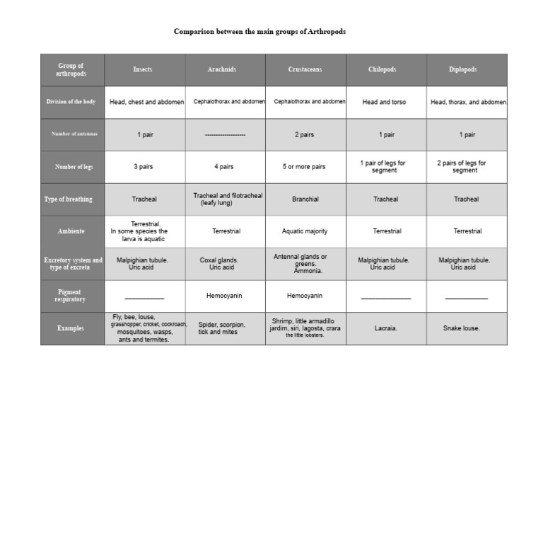 Arthropod Groups Comparison Guide | PDF | Insects | Arthropods