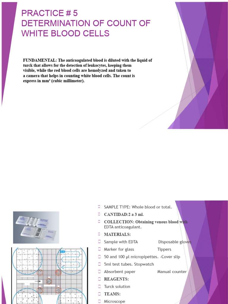 White Blood Cell Count Procedure Guide | PDF
