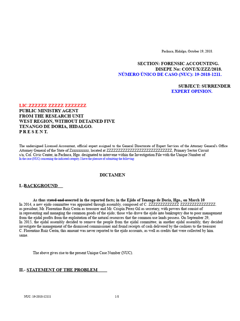 Example of Expert Opinion | PDF | Banks | Business