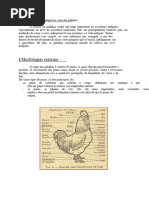 Tabela de Anilhas FOB 2025 | PDF | Aves | Ornitologia