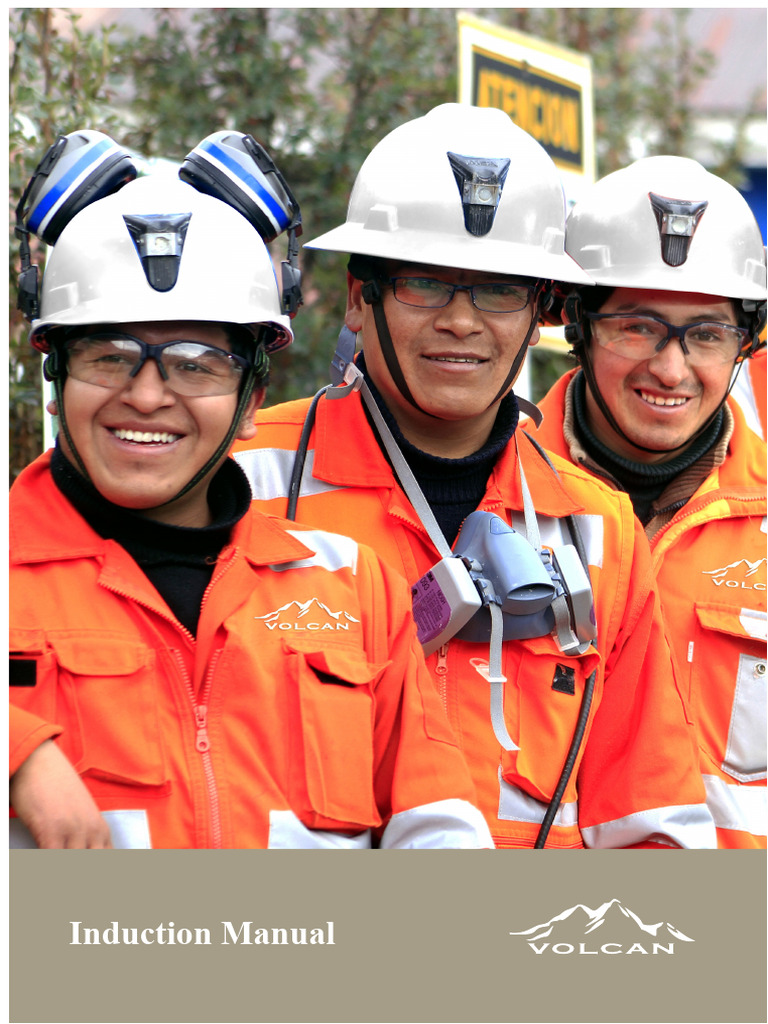 Volcano Induction Manual PDF | PDF | Occupational Safety And Health | Risk