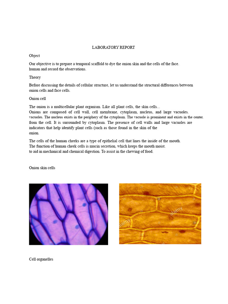 Laboratory Report | PDF | Cell (Biology) | Cytoplasm
