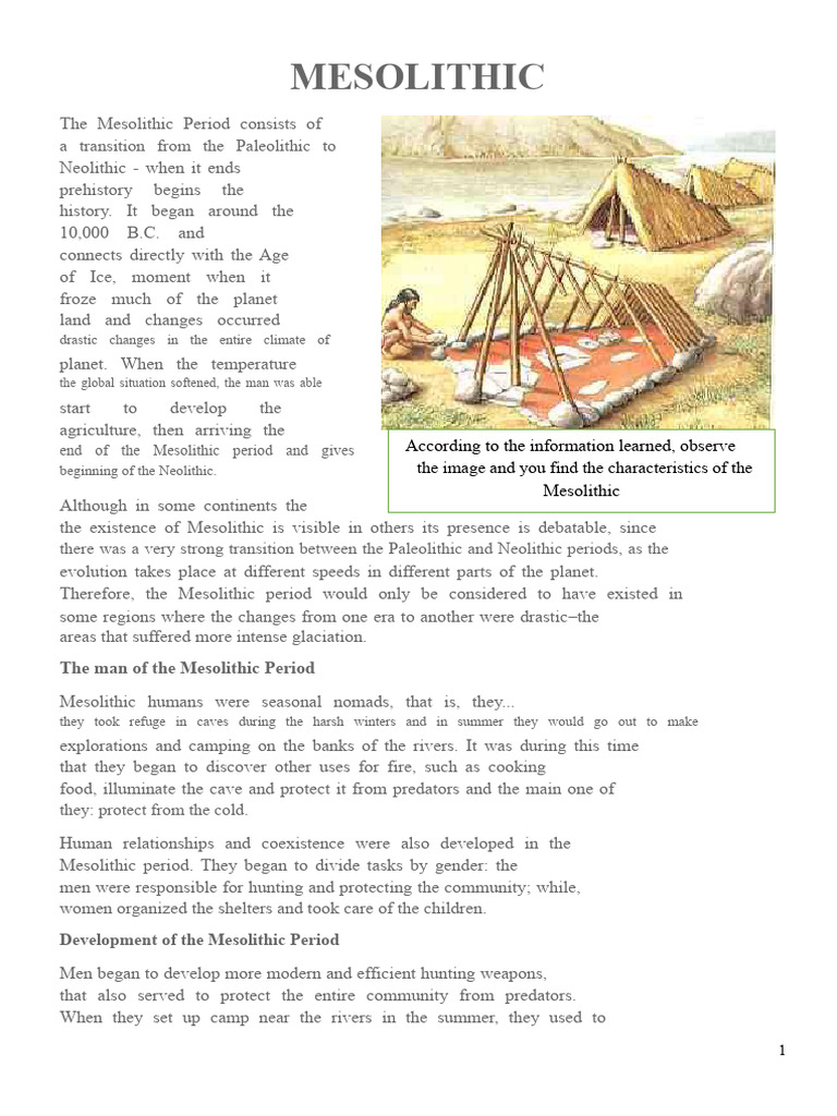 Mesolithic-Neolithic-Age of Metals-American Population | PDF | Bronze ...
