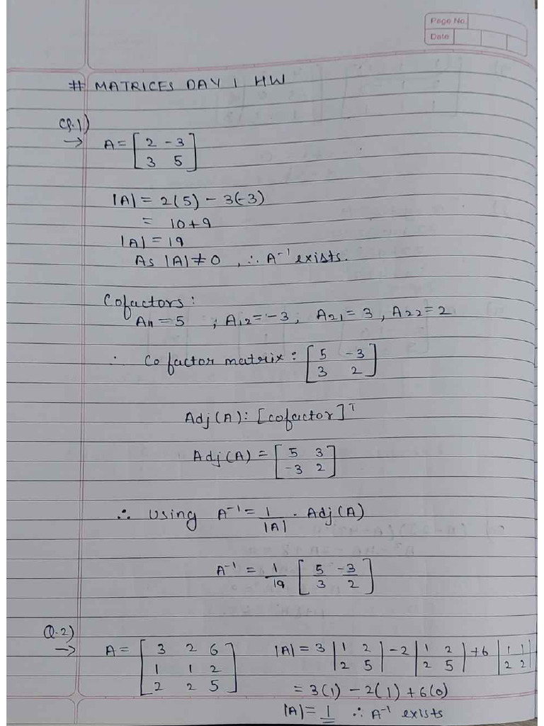 Matrices Assignment Solution | PDF
