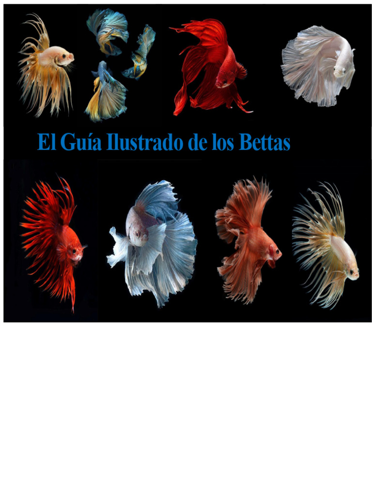 Guía de Especies de Bettas y Variaciones | PDF | Evolución | Pescado