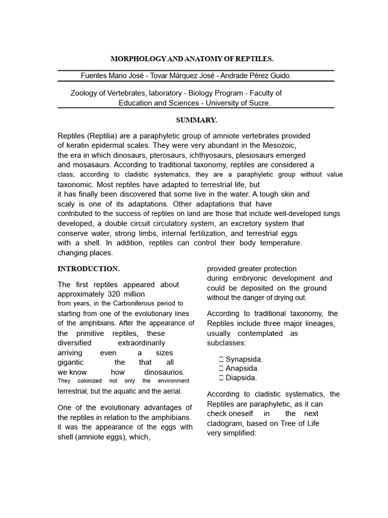 Anatomy and Morphology of Reptiles | PDF | Reptile | Epithelium