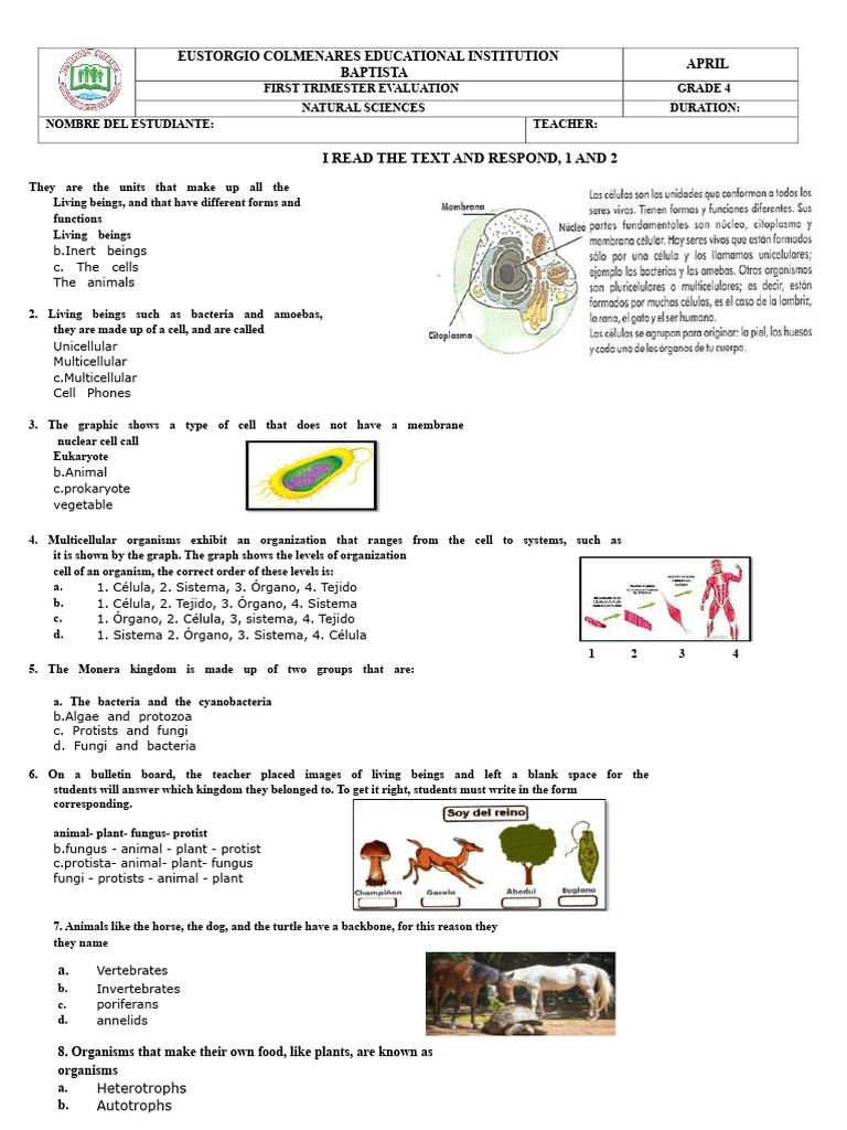 EVALUATION OF THE FIRST QUARTER NATURAL SCIENCES 2021 | PDF | Blood | Cell (Biology)