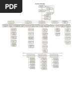 ECB Organizational Structure Overview | PDF | European Central Bank ...