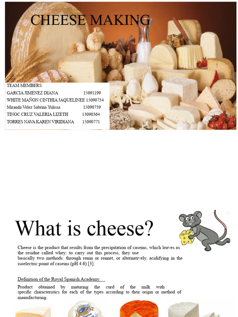 Cheese Making | PDF | Cheese | Cheesemaking