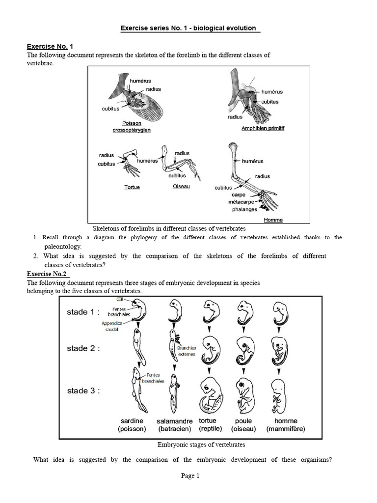 Exercise Series On The Biological Evolution For The Bac Sciences in ...