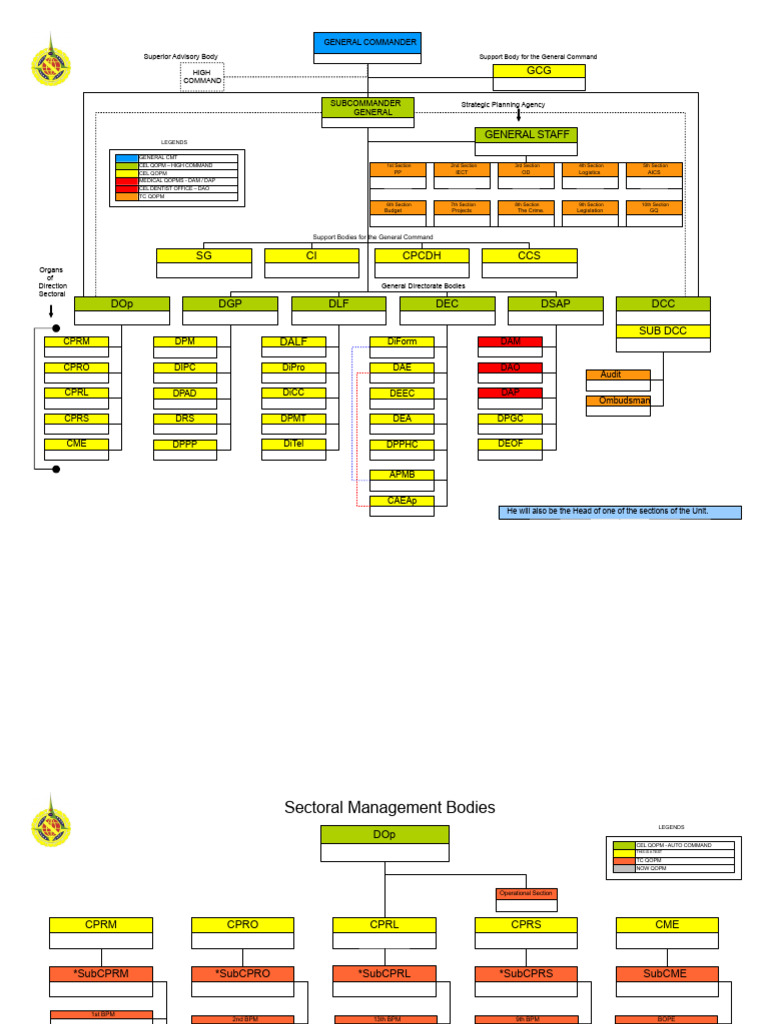 Organizational Chart of PMDF | PDF | Military Operations | Conflicts