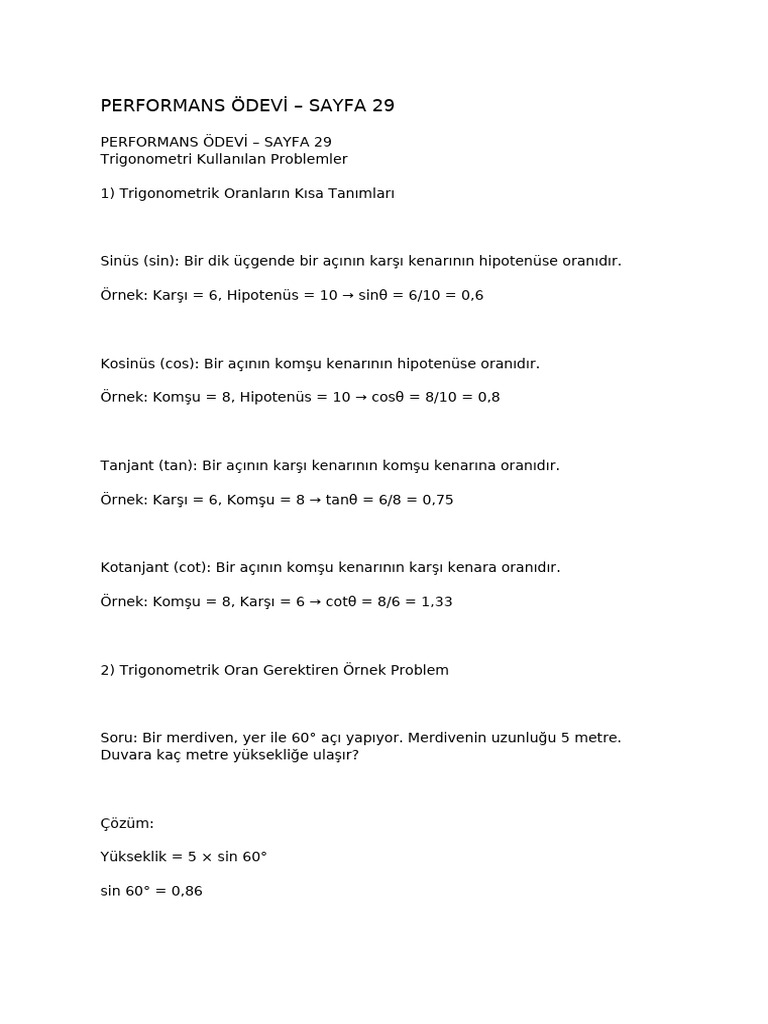 Performans Odevi Turkce | PDF