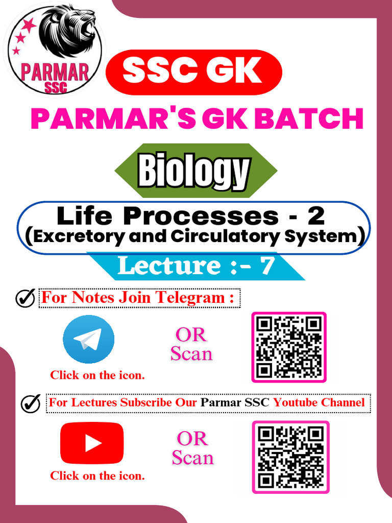 020 ©theone CirculatoryExcitory System | PDF