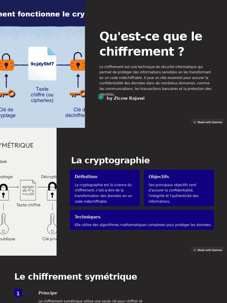 Comprendre le chiffrement et la cryptographie | PDF | Cryptage | Public ...