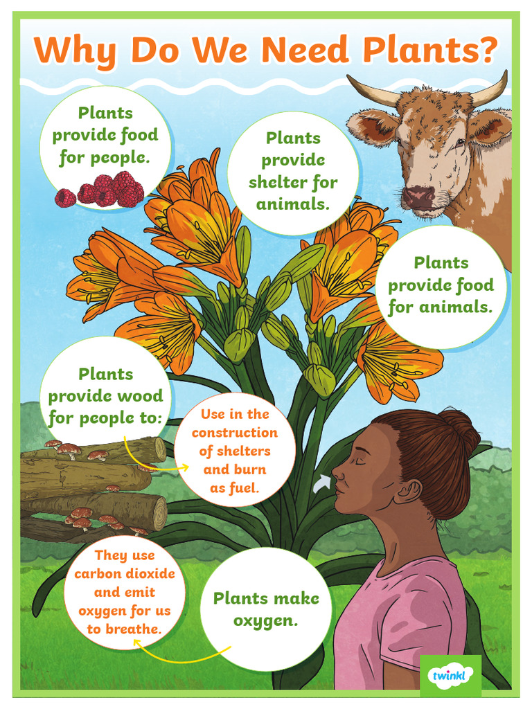 Why Do We Need Plants Poster | PDF