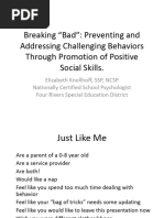 BratBusters Behaviour Board Guide | PDF