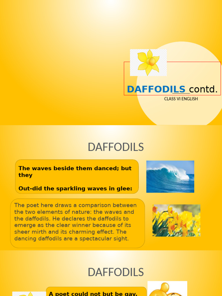 Daffodils Contd | PDF | Poetry
