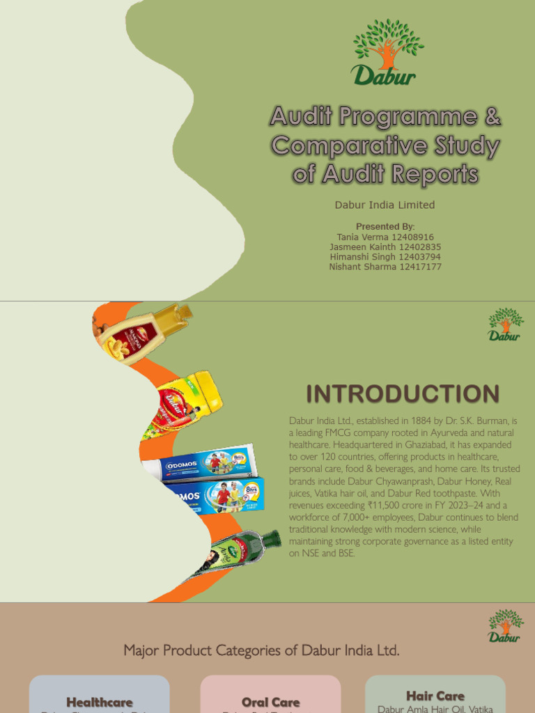 Pd2 | PDF | Audit | Auditor's Report