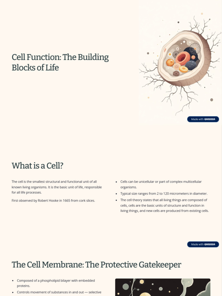 Cell Function The Building Blocks of Life | PDF | Endoplasmic Reticulum ...