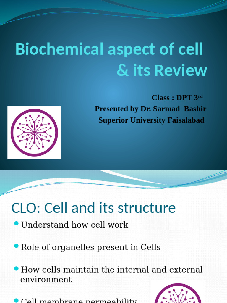 Biochemical Aspects of Cell & Its Component | PDF | Endoplasmic ...