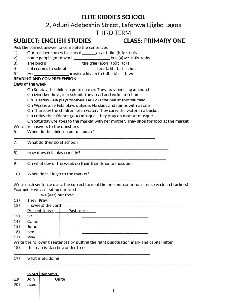 Primary One English and Home Economics Exam | PDF | Toilet | First Aid