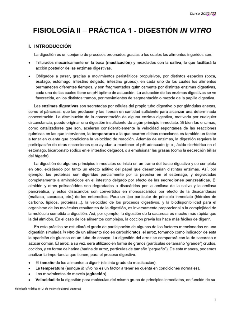 Digestion in Vitro 25-26 | PDF | Digestión | Sistema digestivo humano