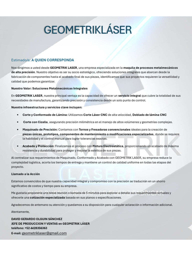 Geometrik Cliente | PDF