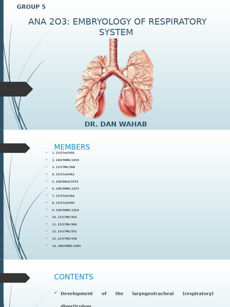 Embryology of the Respiratory System | PDF | Lung | Larynx