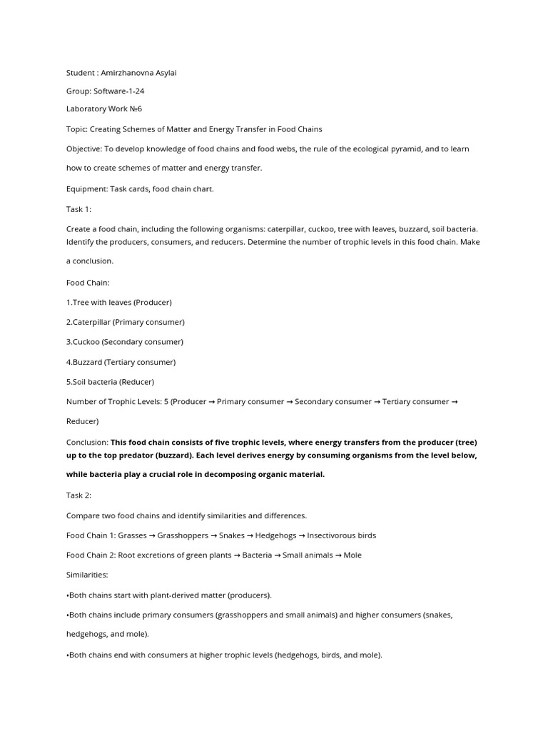 Food Chains: Energy Transfer Schemes | PDF | Food Web | Foods