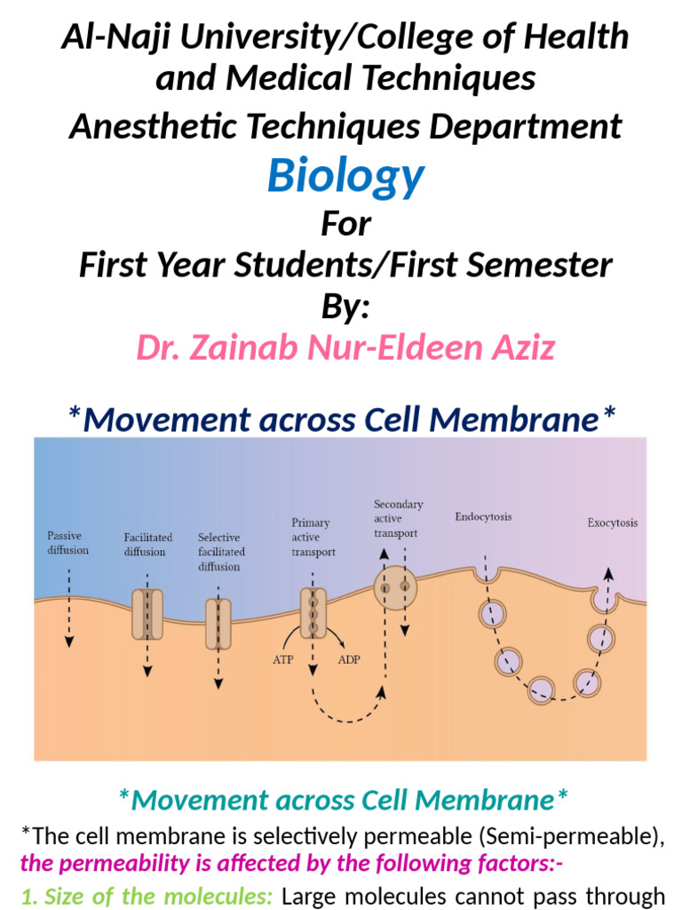 Lec 3 (Movement Across Cell Membrane) | PDF | Osmosis | Cell Membrane