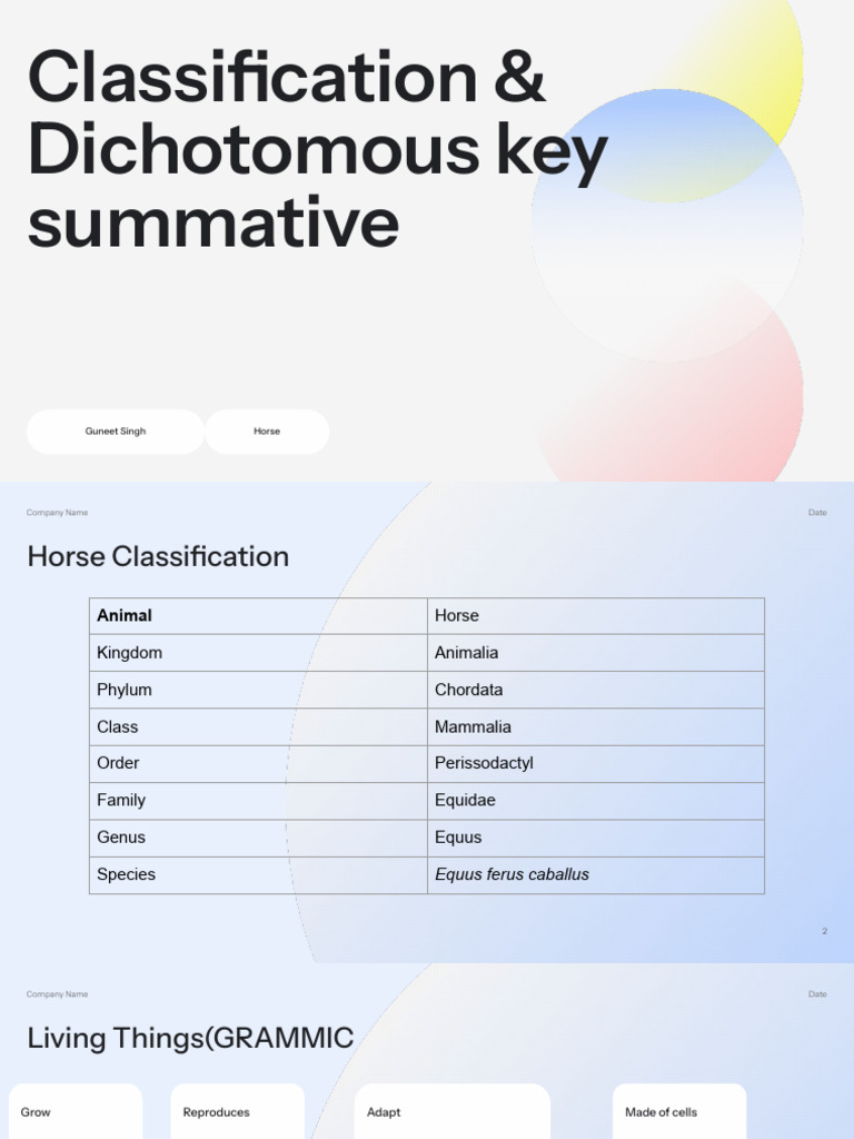 Classification & Dichotomous Key Summative | PDF | Equus (Genus) | Horses