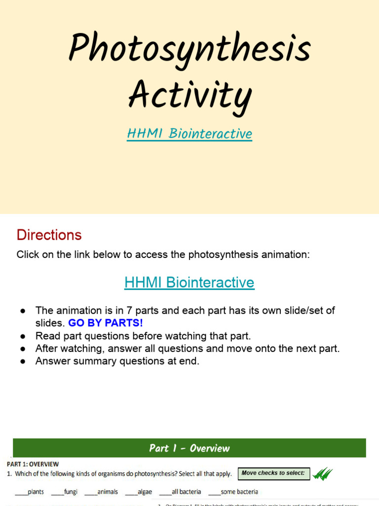 Interactive Photosynthesis Animation Guide | PDF | Unit Processes ...